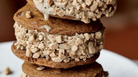 Ina Garten Coffee Chocolate Chip Ice Cream Sandwiches - Ina Garten Eats